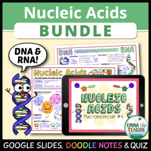 Nucleic Acids Bundle - Emmatheteachie