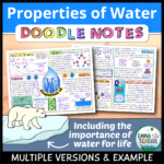 Whole Year of Biology Doodle Notes Bundle - Emmatheteachie