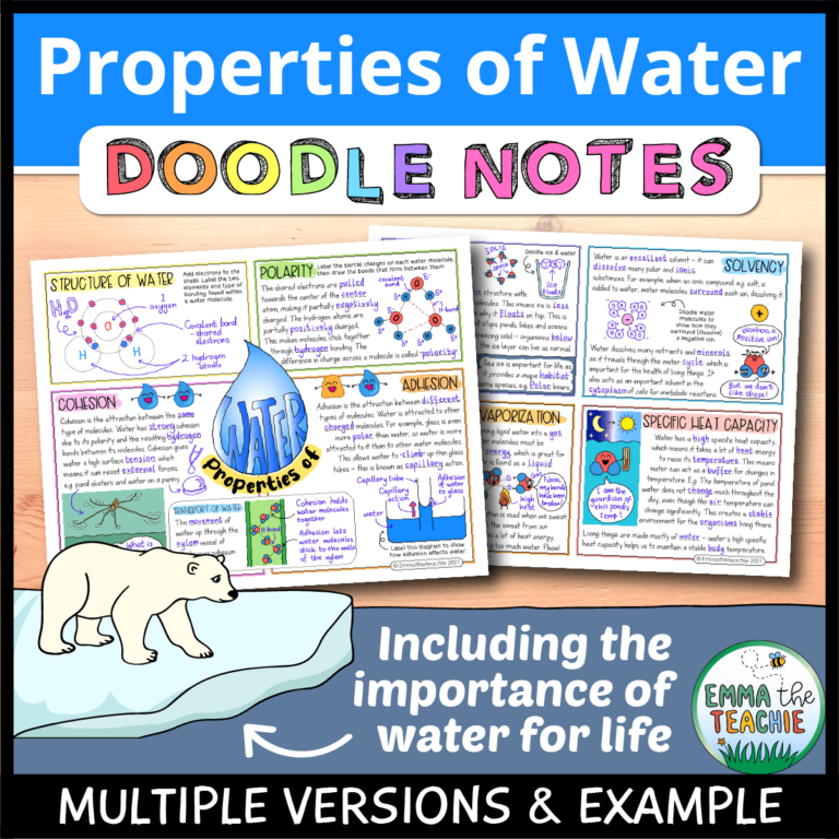 Properties of Water Doodle Notes - Emmatheteachie