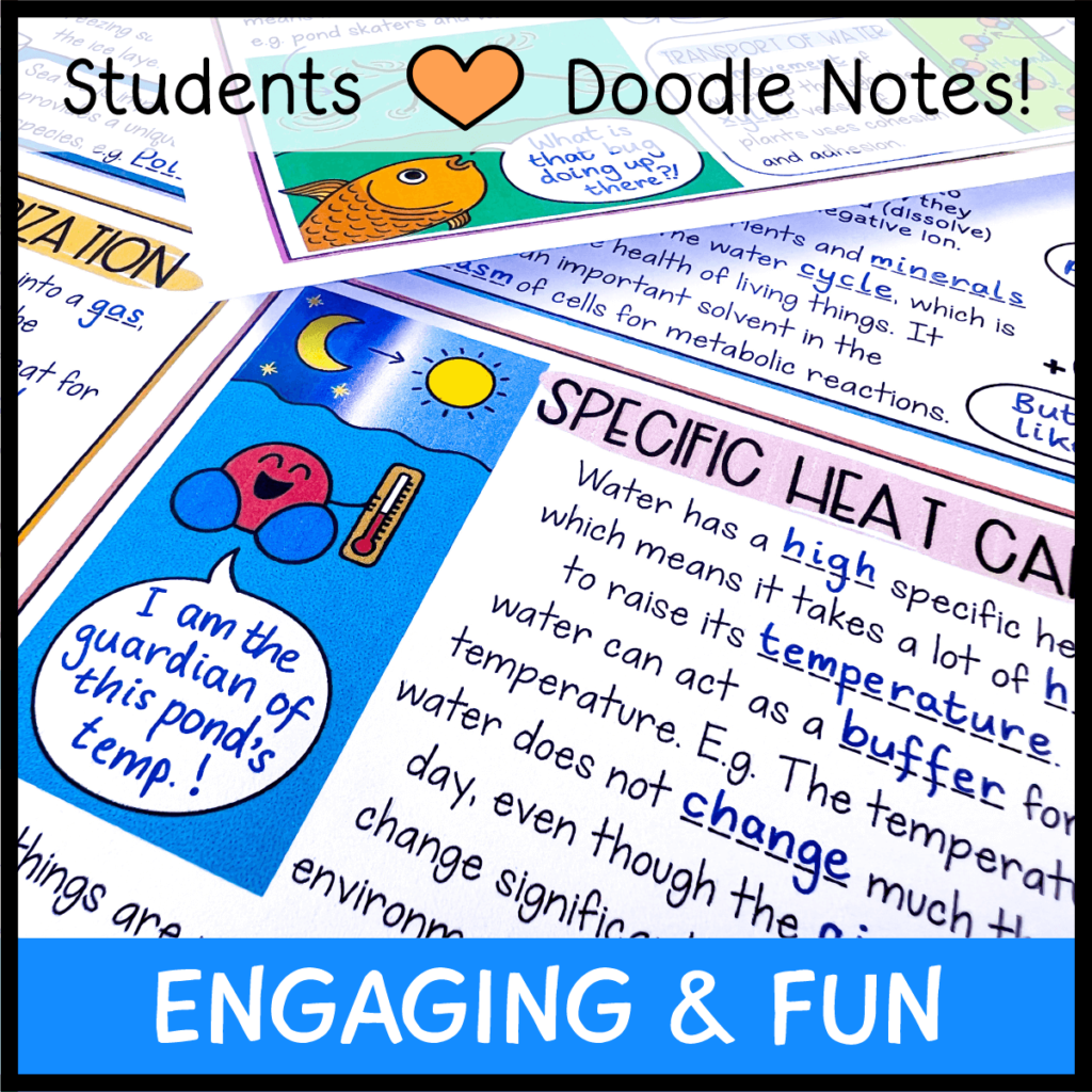 Properties of Water Doodle Notes - Emmatheteachie