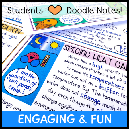 Properties of Water Doodle Notes - Emmatheteachie