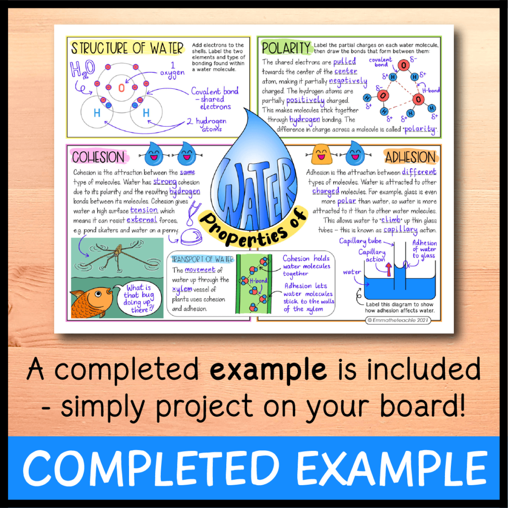 Properties of Water Doodle Notes - Emmatheteachie