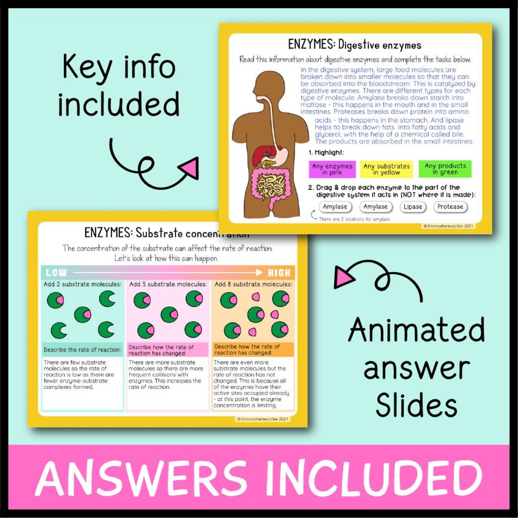 Enzymes Google Slides - Emmatheteachie