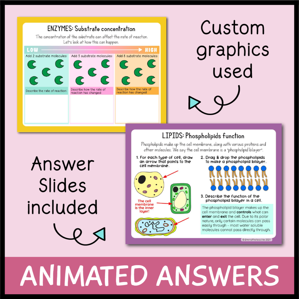 Biochemistry and Macromolecules Google Slides - Unit Bundle