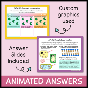Biochemistry and Macromolecules Google Slides - Unit Bundle