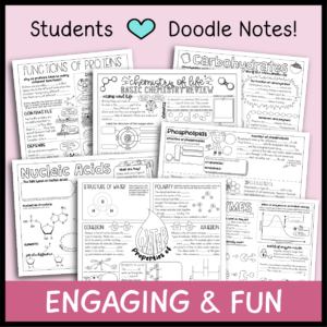Biochemistry and Macromolecules Doodle Notes - Unit Bundle