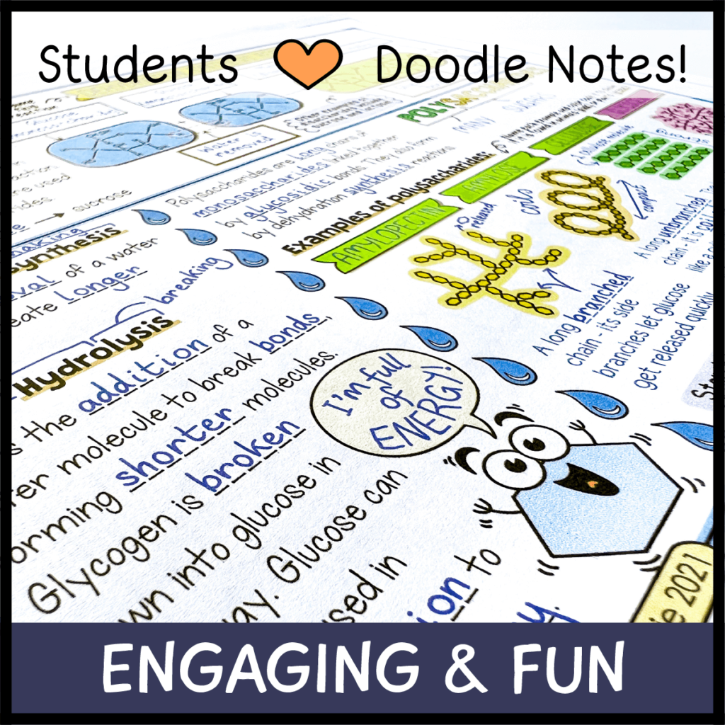 Carbohydrates Doodle Notes - Emmatheteachie