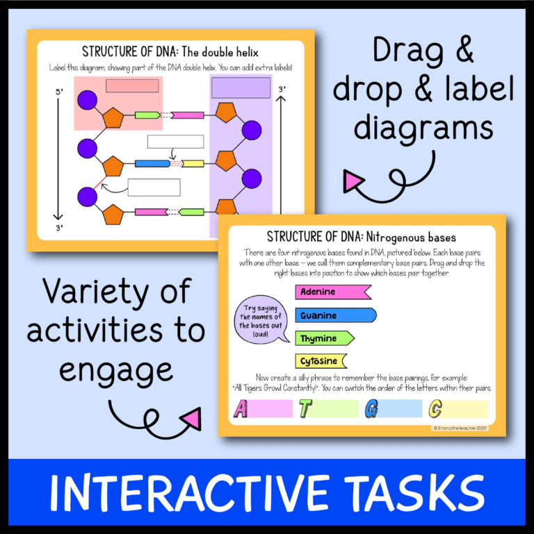 The Structure of DNA Google Slides - Emmatheteachie