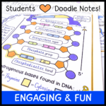 The Structure of DNA Doodle Notes - Emmatheteachie