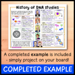 The Structure of DNA Doodle Notes - Emmatheteachie