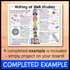 The Structure of DNA Doodle Notes - Emmatheteachie
