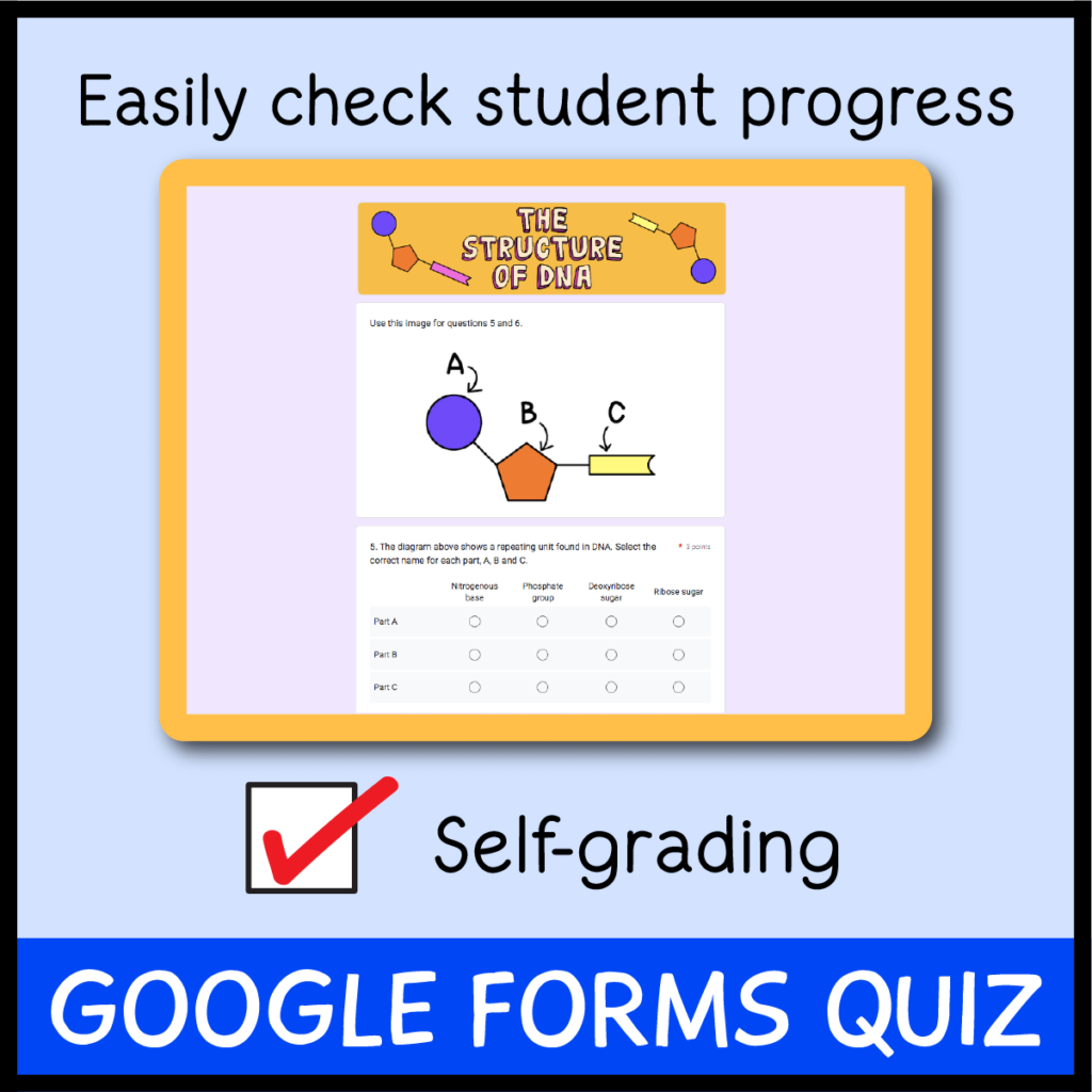 The Structure of DNA Bundle - Emmatheteachie