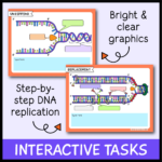 DNA Replication Google Slides - Emmatheteachie