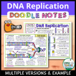 DNA Replication Doodle Notes - Emmatheteachie