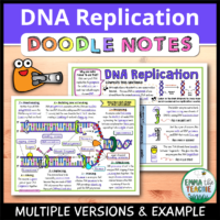 DNA Replication Doodle Notes - Emmatheteachie