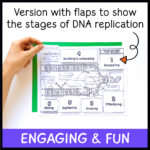 DNA Replication Doodle Notes - Emmatheteachie