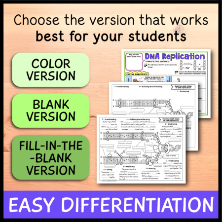 DNA Replication Doodle Notes - Emmatheteachie