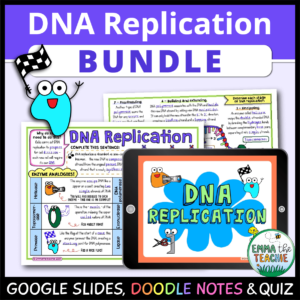 DNA Replication Doodle Notes - Emmatheteachie