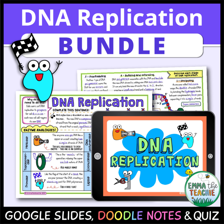 DNA Replication Doodle Notes - Emmatheteachie
