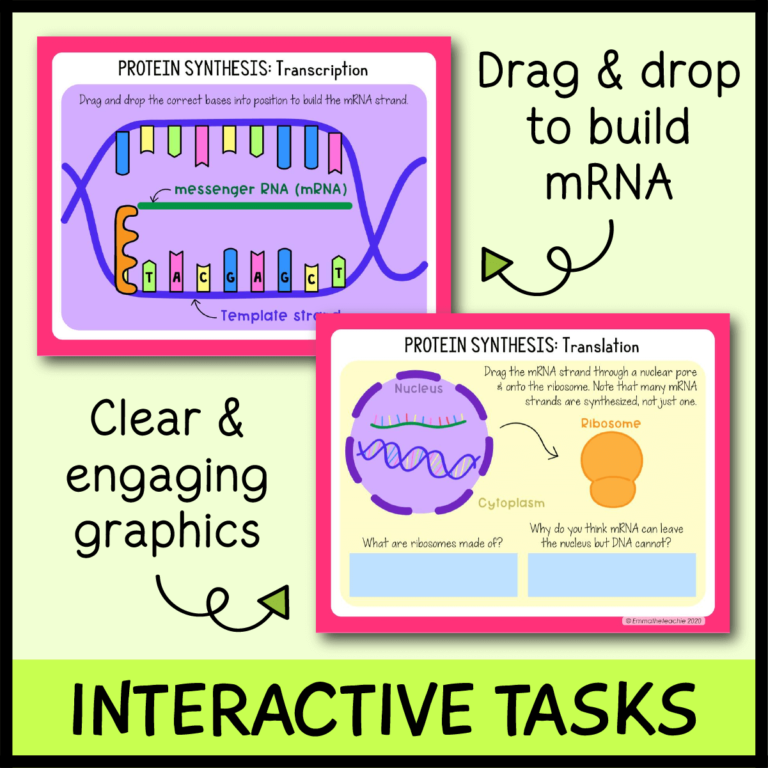 Protein Synthesis Google Slides - Emmatheteachie