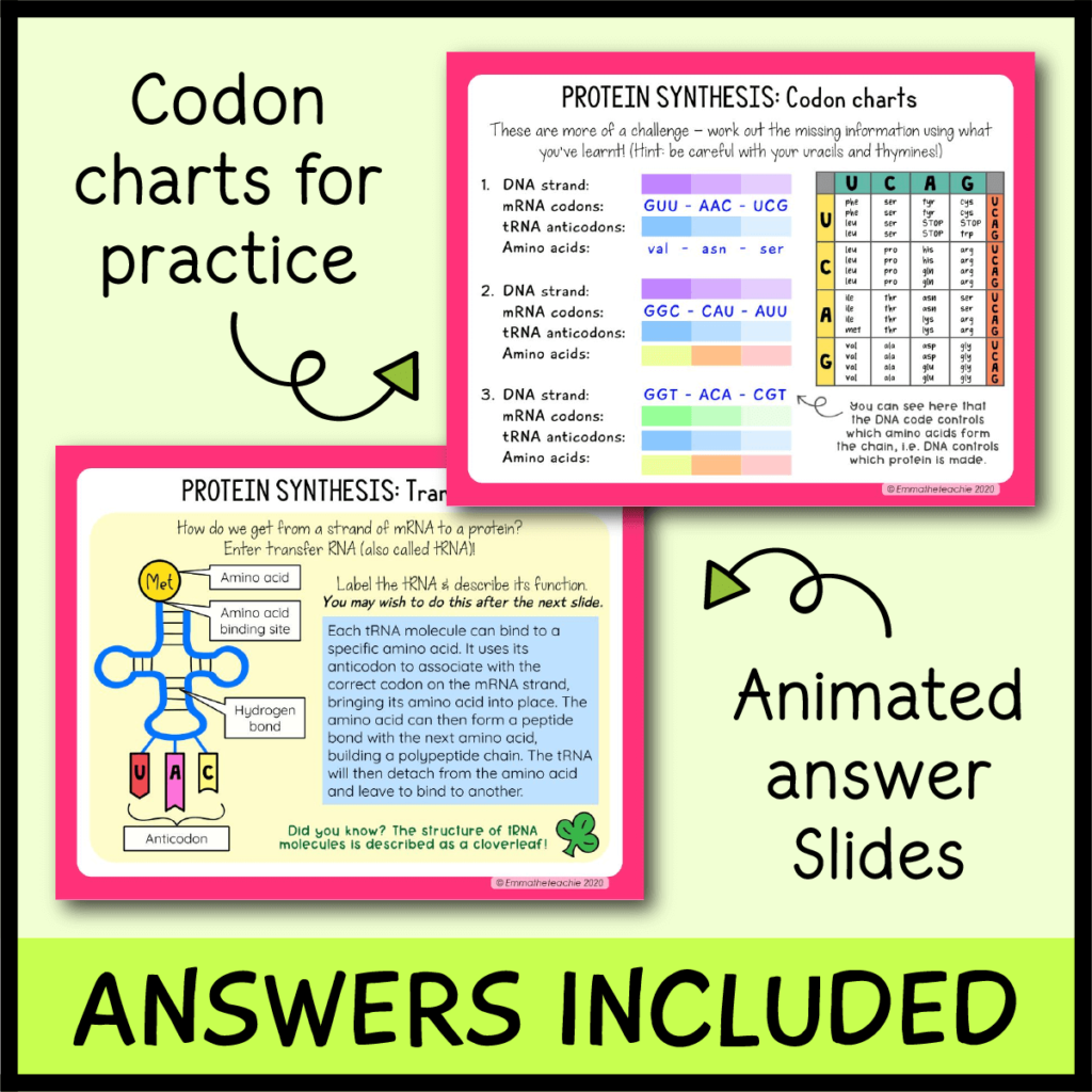 Protein Synthesis Google Slides - Emmatheteachie