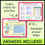 Protein Synthesis Google Slides - Emmatheteachie