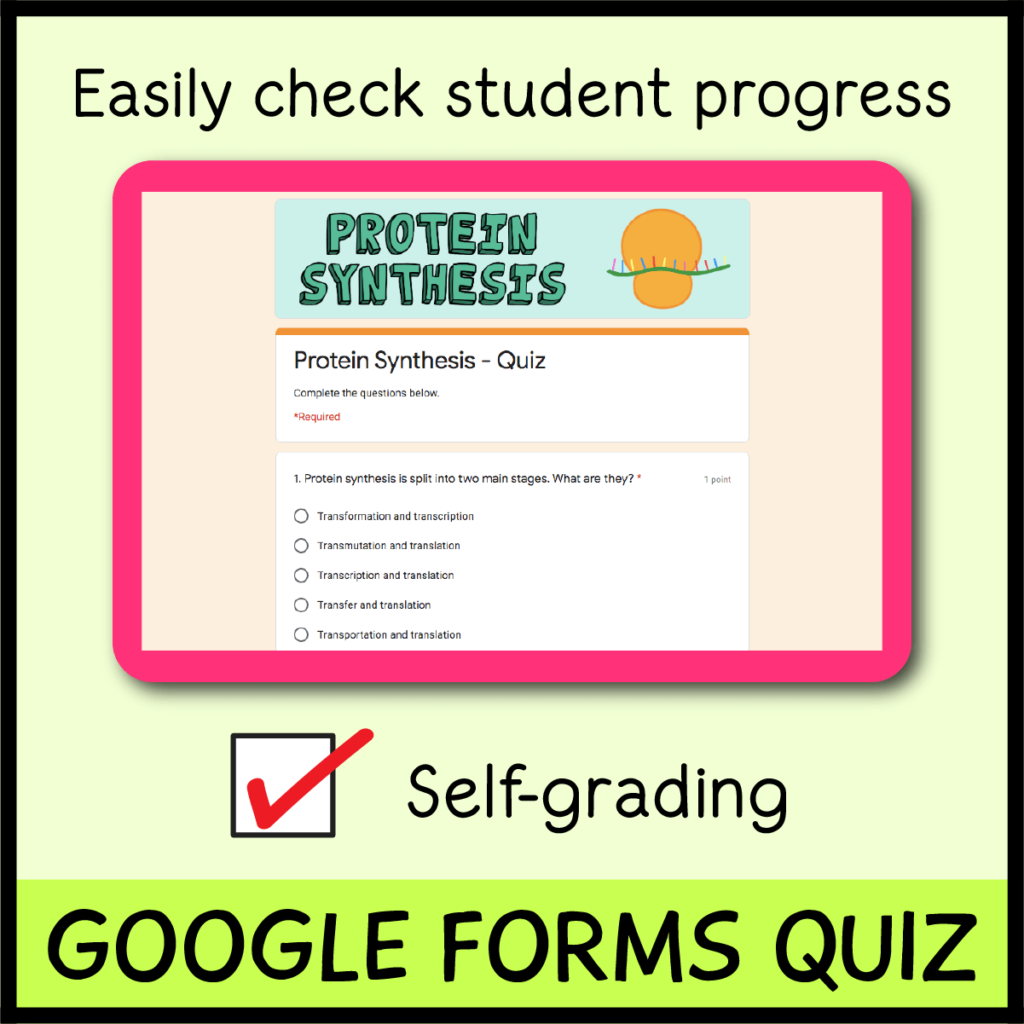 Protein Synthesis Google Slides - Emmatheteachie