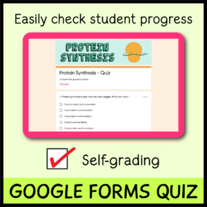Protein Synthesis Google Slides - Emmatheteachie
