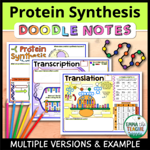 Protein Synthesis Doodle Notes - Emmatheteachie