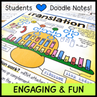 Protein Synthesis Doodle Notes - Emmatheteachie