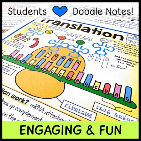 Protein Synthesis Doodle Notes - Emmatheteachie