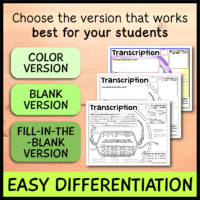 Protein Synthesis Doodle Notes - Emmatheteachie