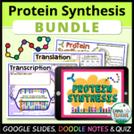 How to Teach Protein Synthesis - Emmatheteachie