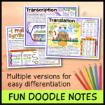 Protein Synthesis Bundle - Emmatheteachie