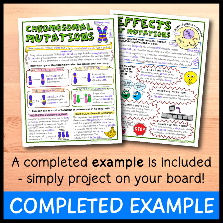 Mutations Doodle Notes - Emmatheteachie
