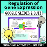 Regulation of Gene Expression Google Slides - Emmatheteachie
