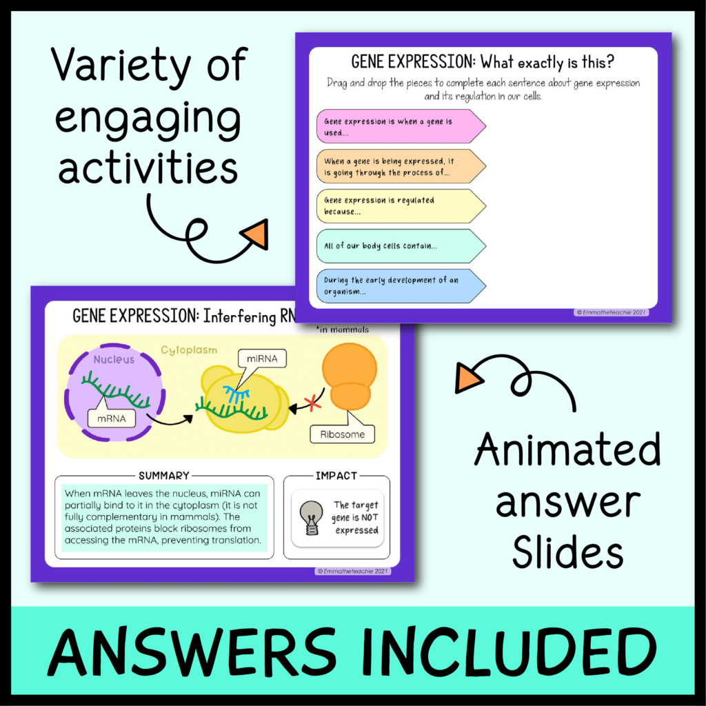 Regulation of Gene Expression Google Slides - Emmatheteachie