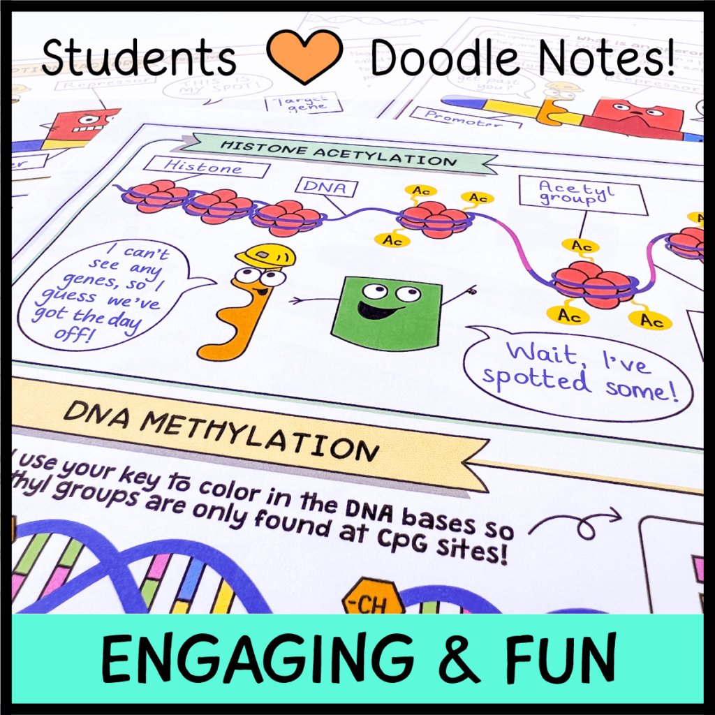 Regulation of Gene Expression Doodle Notes - Emmatheteachie