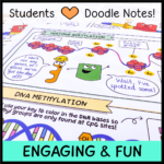 Regulation of Gene Expression Doodle Notes - Emmatheteachie
