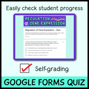 Regulation of Gene Expression Lesson Bundle - Emmatheteachie