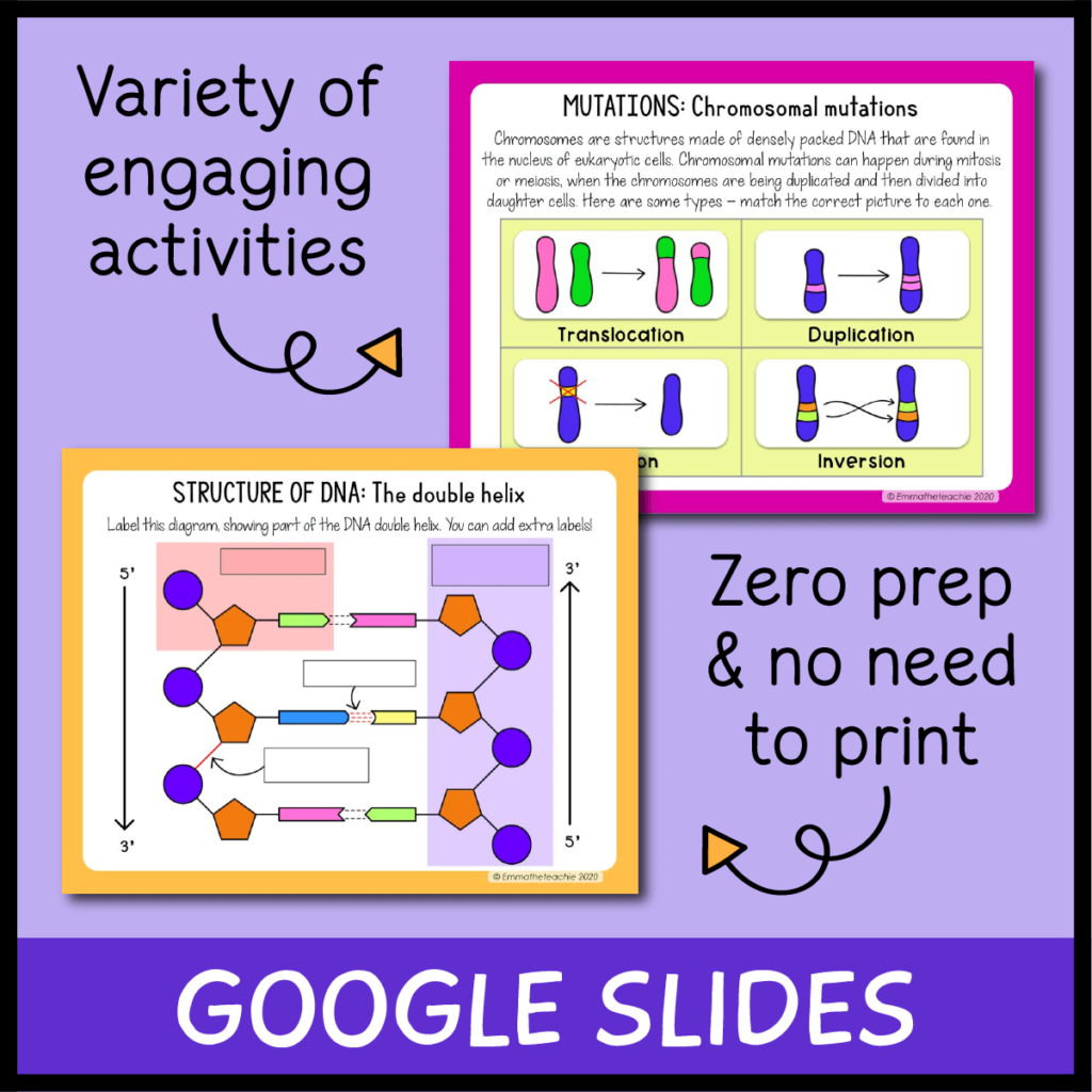 DNA Unit Bundle Google Slides - Emmatheteachie
