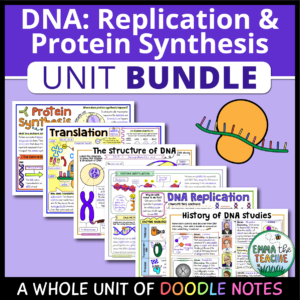 DNA Unit Doodle Notes - Emmatheteachie