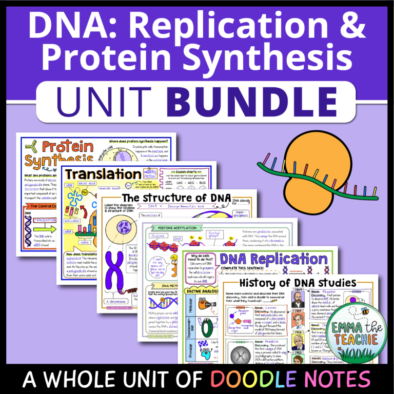 DNA Replication Doodle Notes - Emmatheteachie