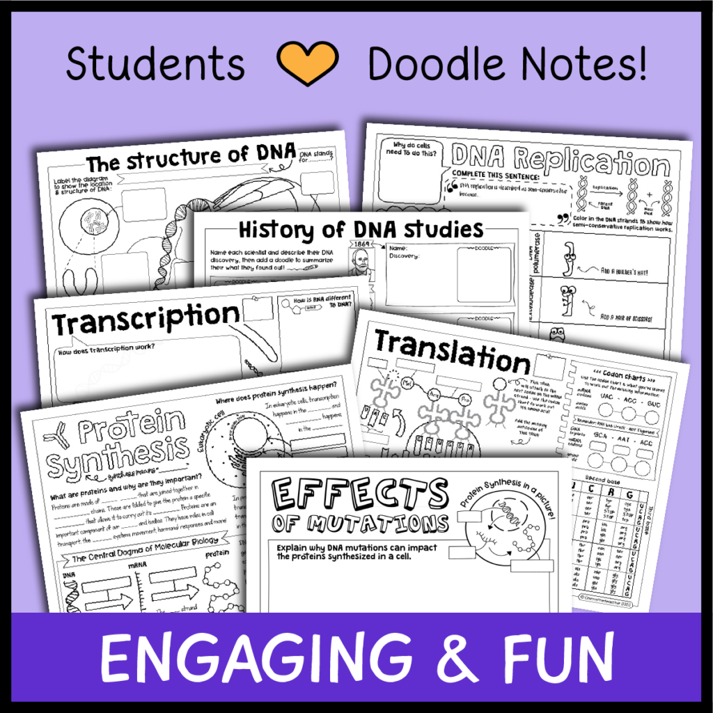 DNA Unit Doodle Notes - Emmatheteachie