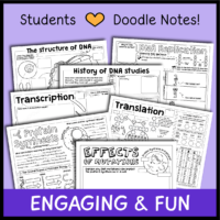 DNA Unit Doodle Notes - Emmatheteachie