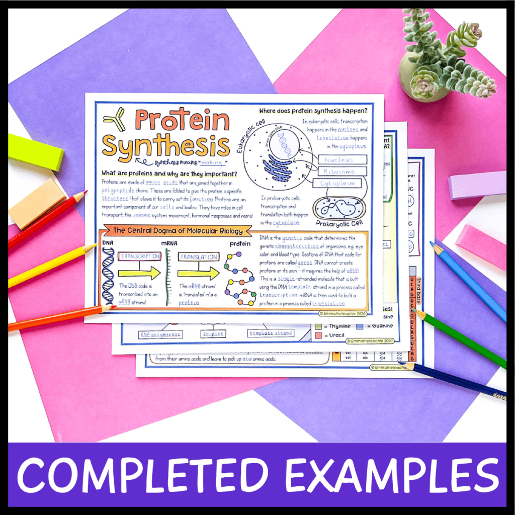 DNA Unit Doodle Notes - Emmatheteachie