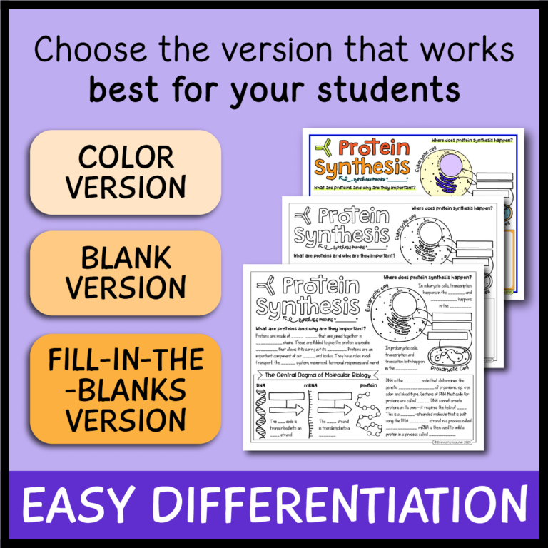 DNA Unit Doodle Notes - Emmatheteachie