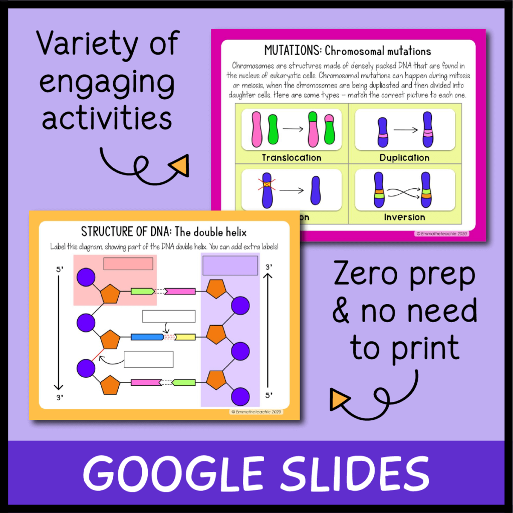 DNA Unit Bundle - Ready to Use Resources - Emmatheteachie