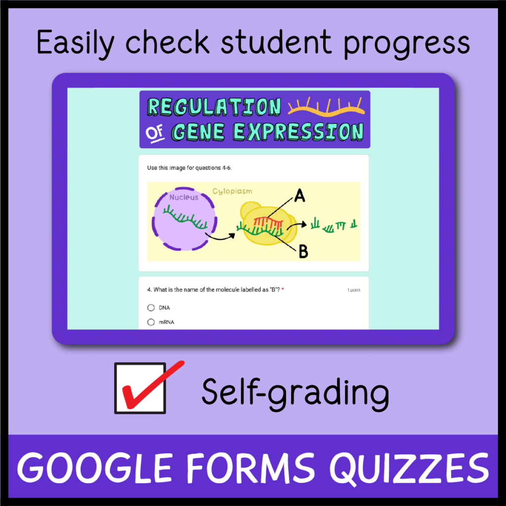 DNA Unit Bundle - Ready to Use Resources - Emmatheteachie