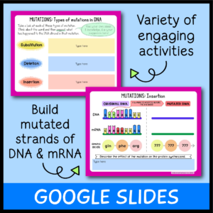 Mutations Lesson Bundle - Emmatheteachie